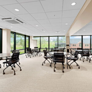 The History of the Hill